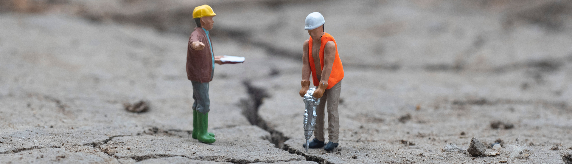 The history and future of the main contractor - C-Link